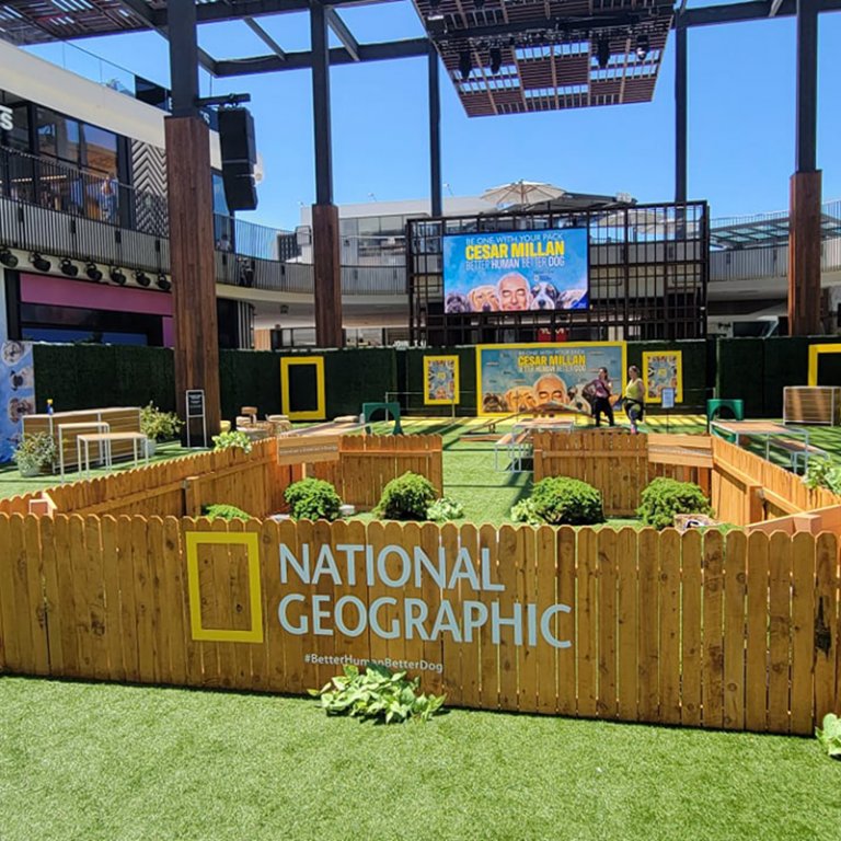 Collins Visual Media - Signs and Displays in Los Angeles